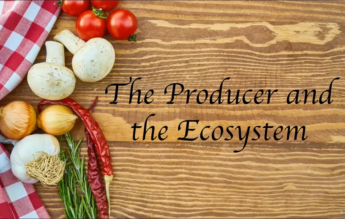 WHY CONNECTING THE PRODUCERS TO THEIR ECOSYSTEM IS ESSENTIAL!